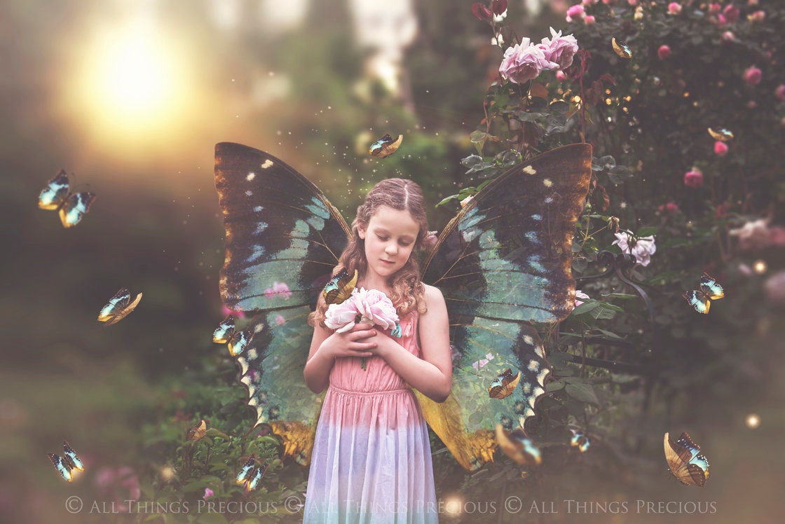 27 Butterfly Overlays Set 1 / Digital Overlay Fine Art - Etsy