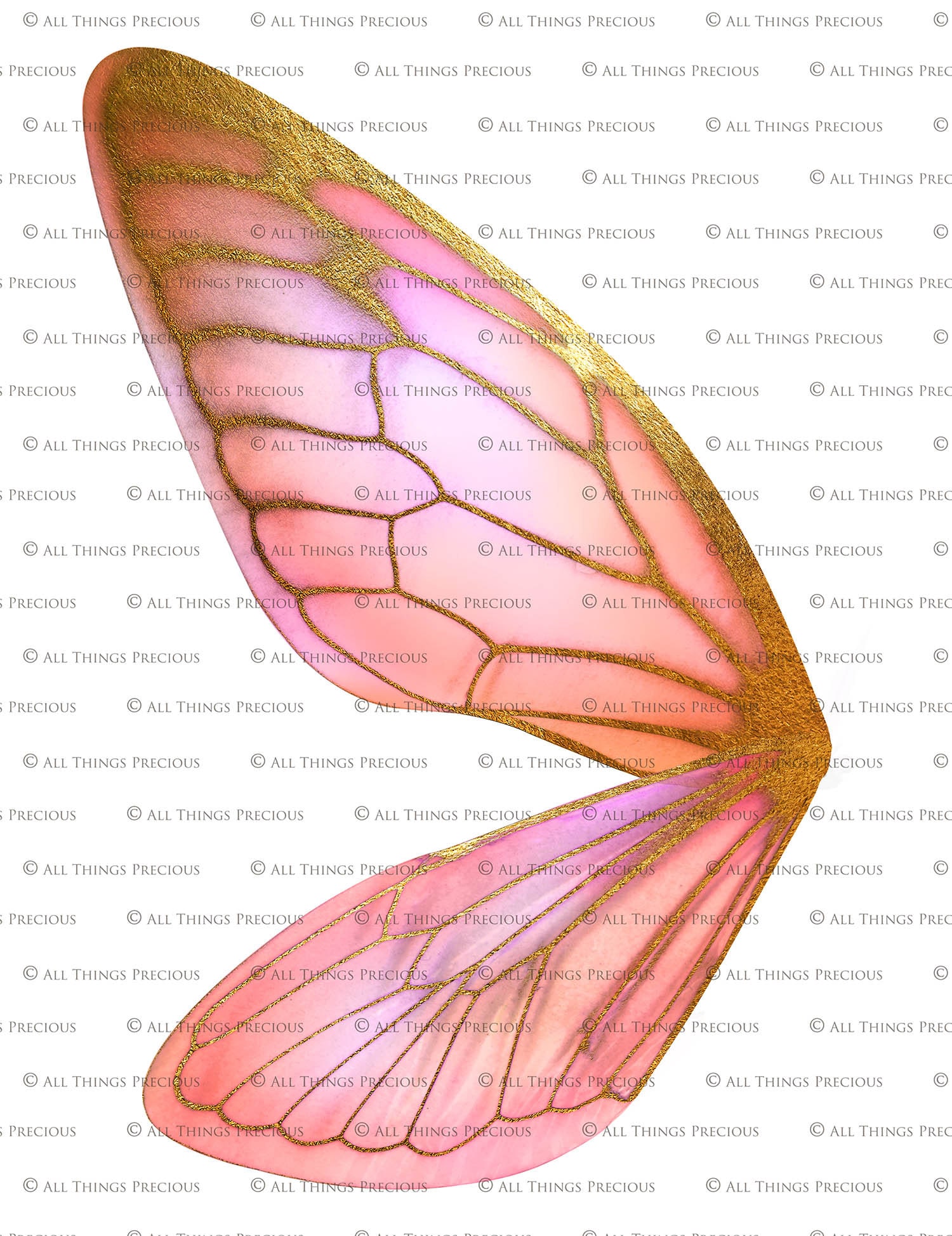 PRINTABLE FAIRY WINGS Set 28 Clipart Png Print Fairy | Etsy