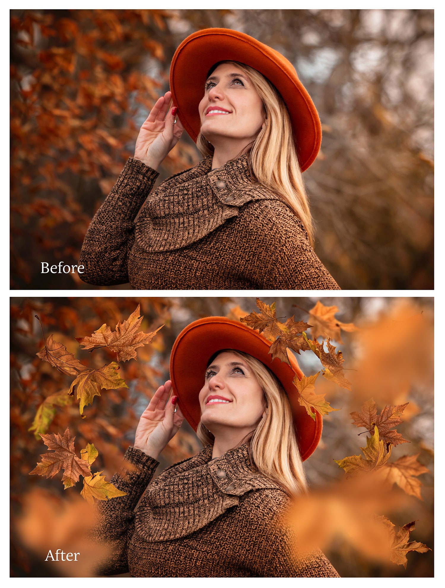 60 FALL LEAVES OVERLAYS, Autumn Png Leaf Overlay, Photography, Digital ...