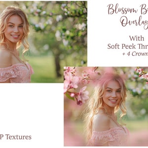 Photo Overlays, PNG Blossom Flower Branches, Crowns and Peek Throughs ...