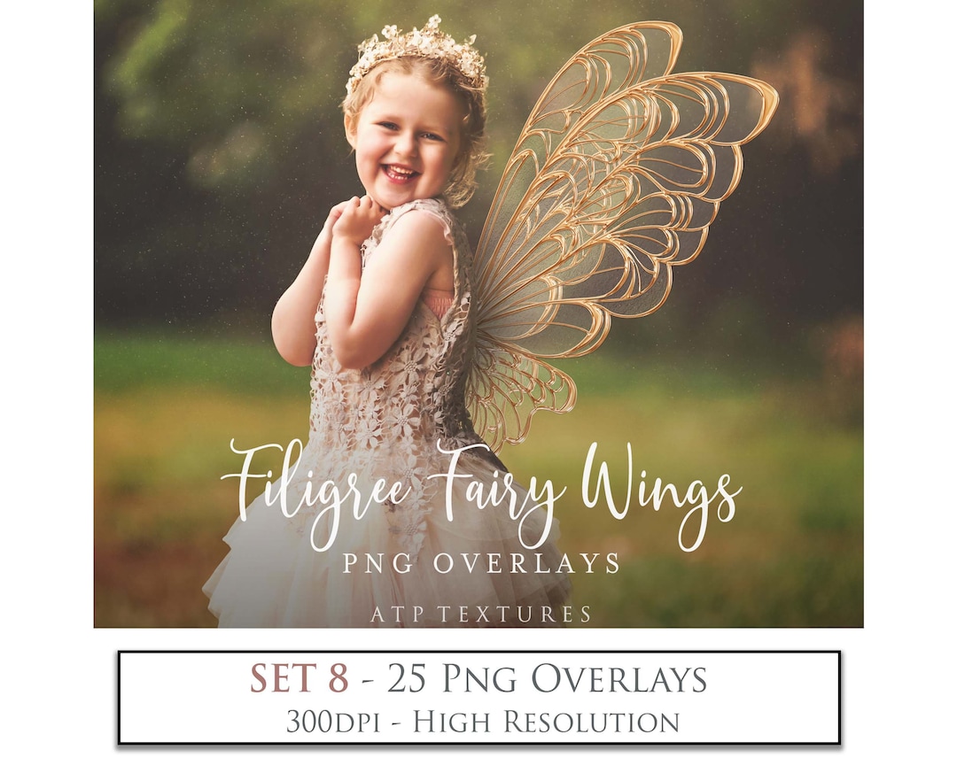 25 Png Overlays, FILIGREE FAERY WINGS, Set 8 / Photo Overlay, Digital ...