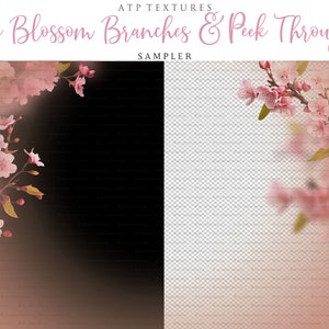 Photo Overlays, PNG Blossom Flower Branches, Crowns and Peek Throughs ...