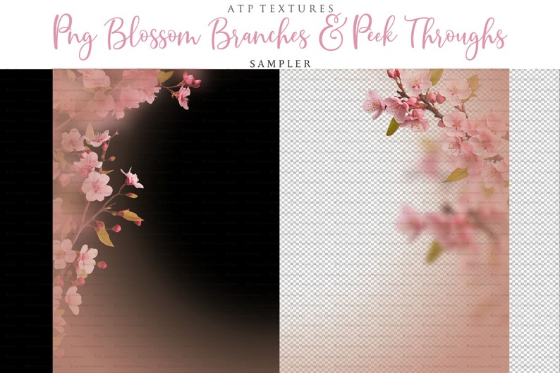 Photo Overlays, PNG Blossom Flower Branches, Crowns and Peek Throughs ...