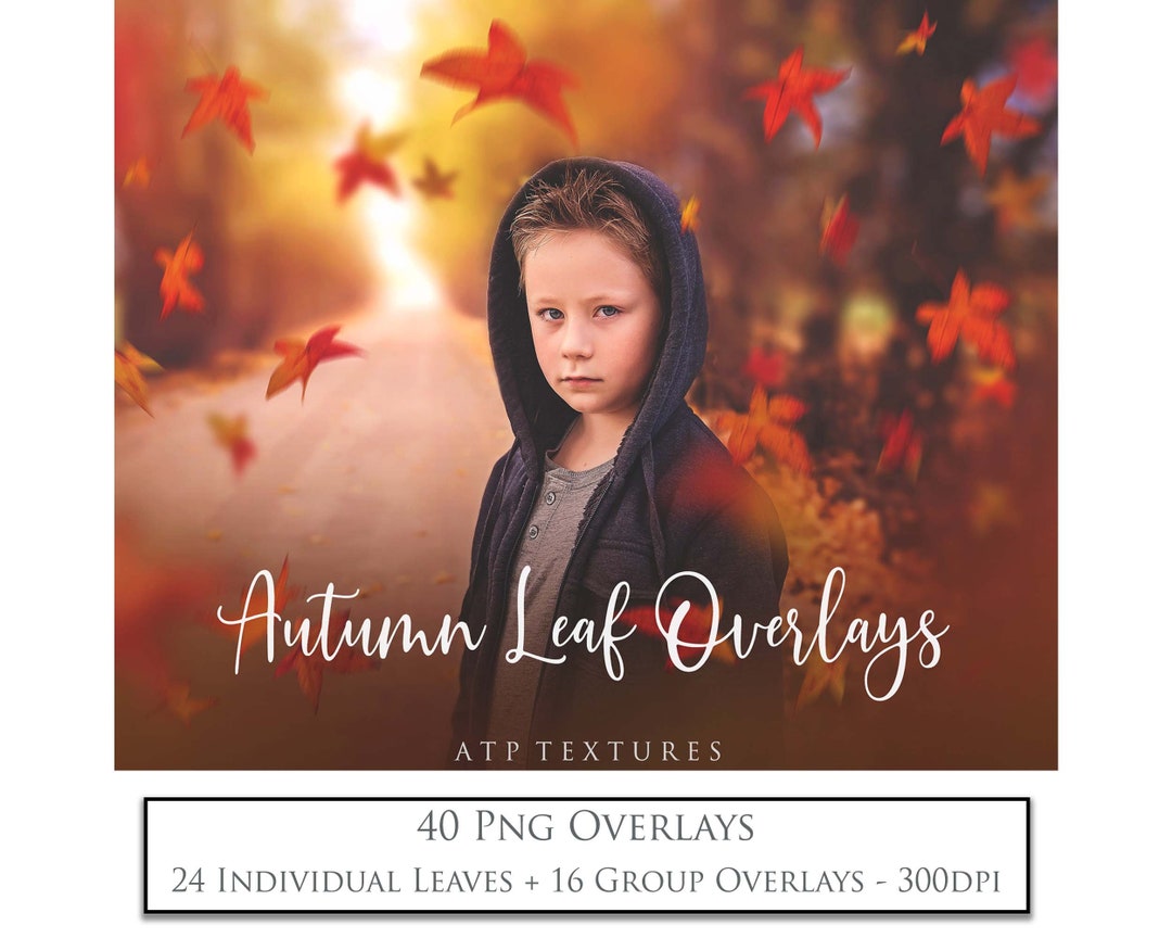 40 Digital Png LEAF OVERLAYS, Autumn, FALL Png Leaves, Photography ...