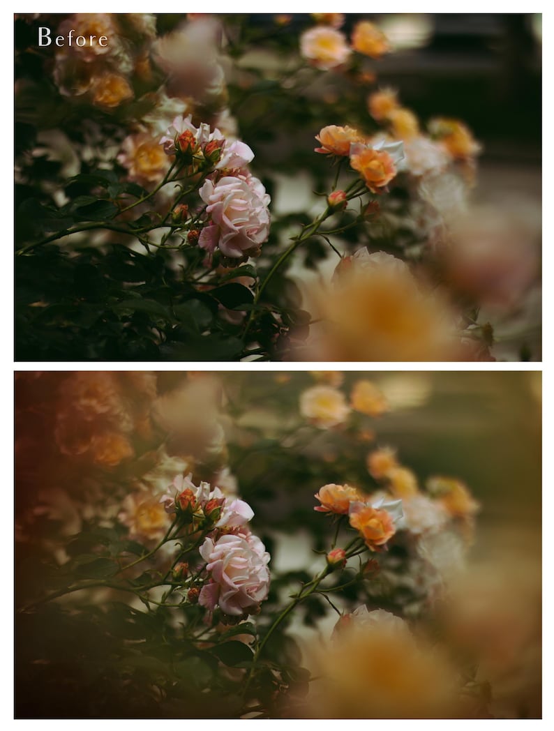 Png OVERLAYS Tint Vignette No. 2 / Photo Overlay Texture - Etsy