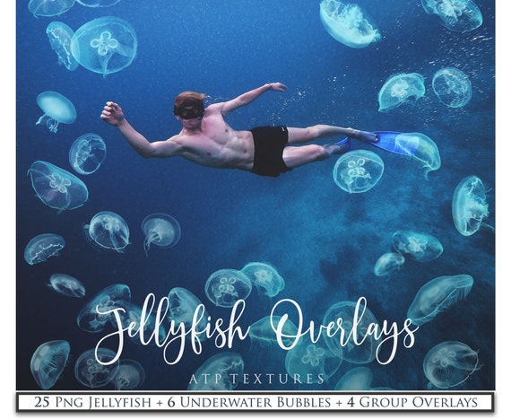 Png OVERLAYS - JELLYFISH / Photo Overlay, High Resolution, Digital ...