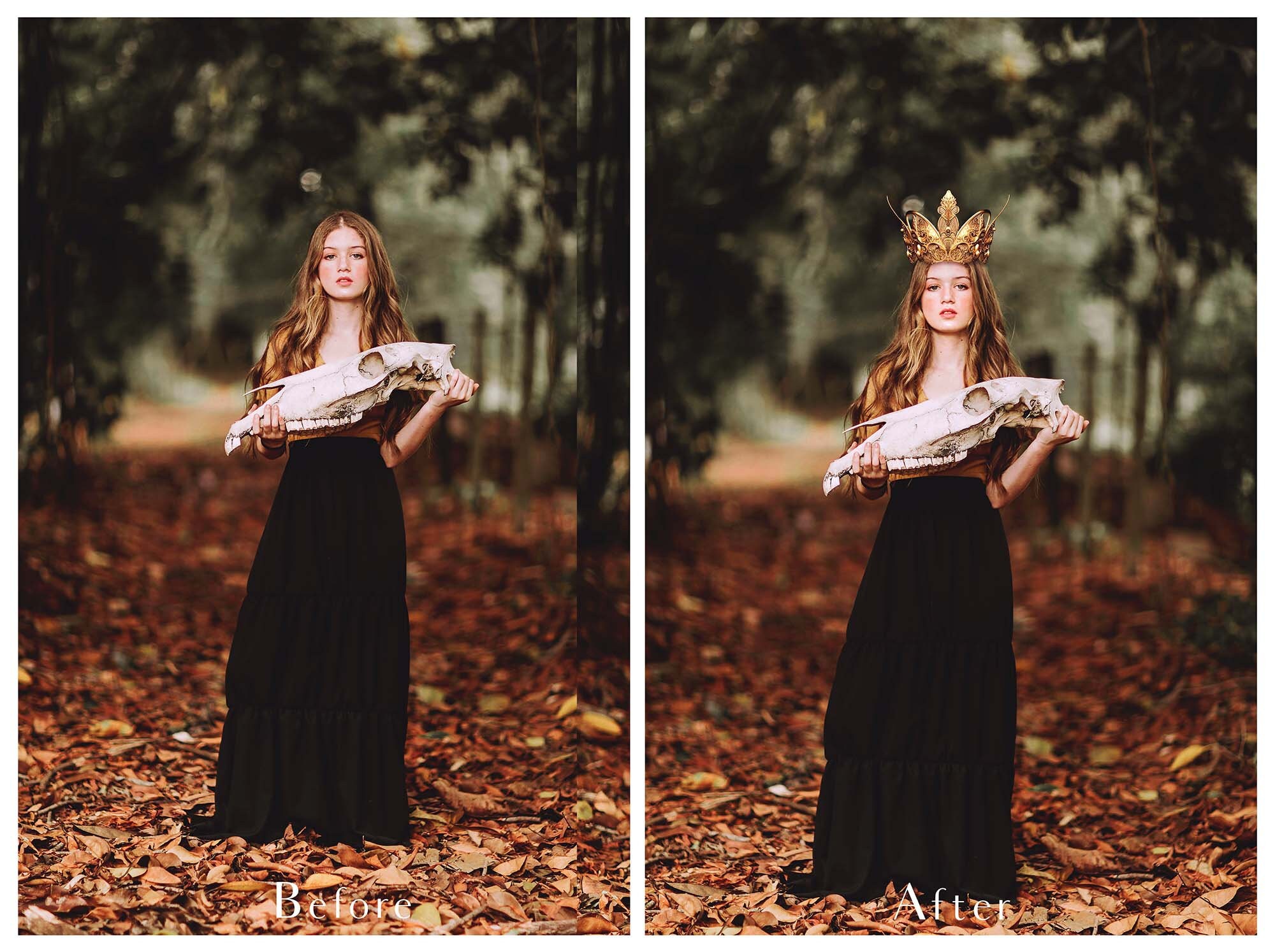 10 PNG OVERLAYS Faery Crown Set 1 / Photo Overlay AI - Etsy