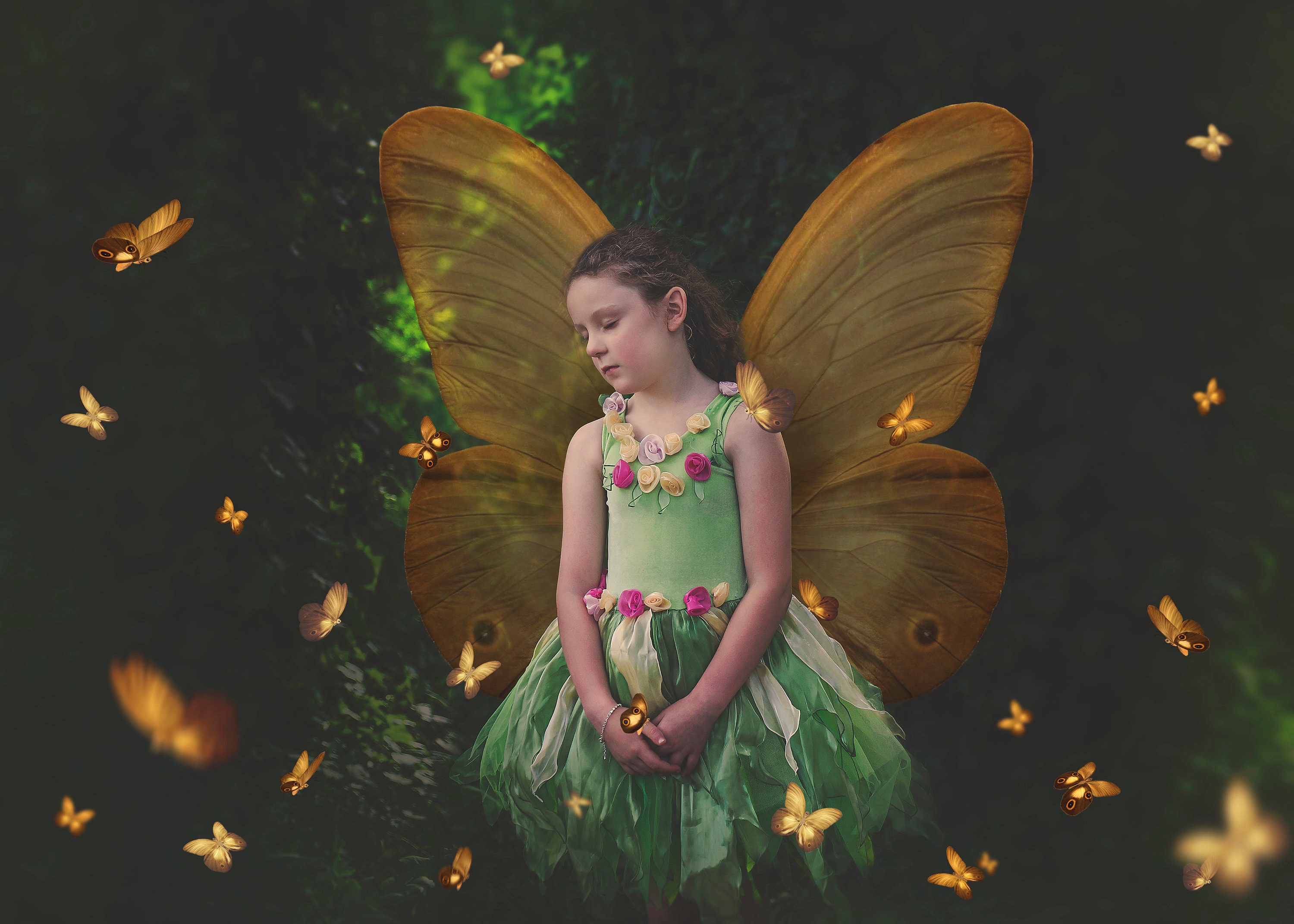 BUTTERFLY OVERLAYS Set 2 Digital Overlay Fine Art - Etsy