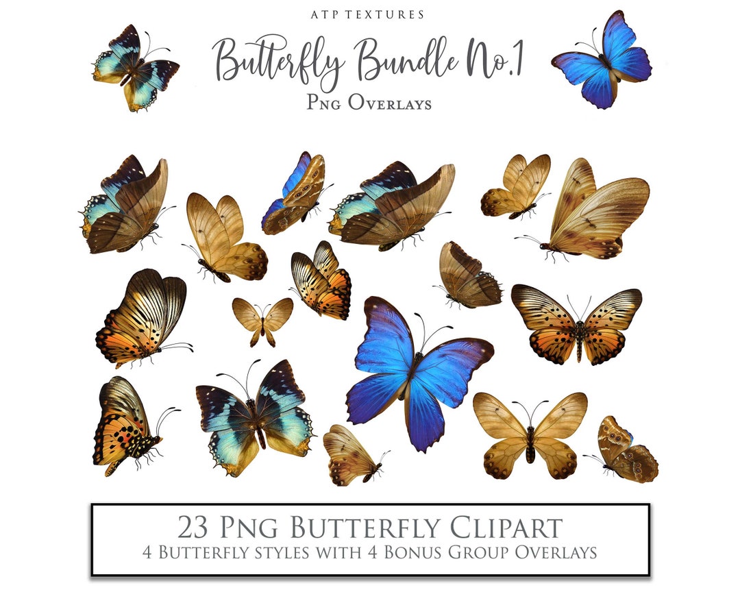 27 Butterfly Overlays Set 1 / Digital Overlay, Fine Art Photography ...