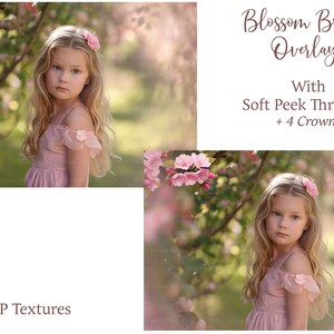 Photo Overlays, PNG Blossom Flower Branches, Crowns and Peek Throughs ...