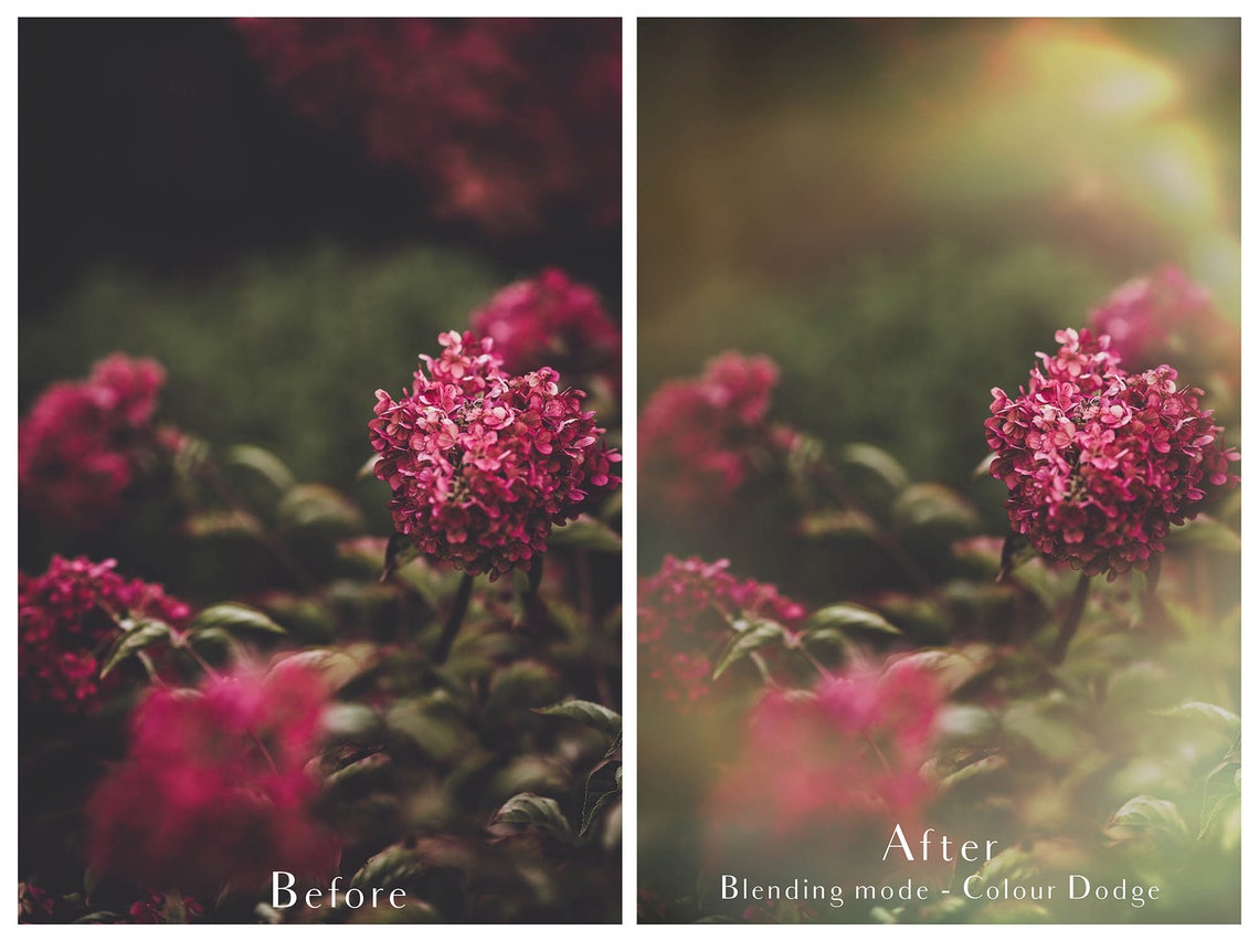 Png OVERLAYS - Tint Vignette No. 3 / Photo Overlay, Texture Overlay ...
