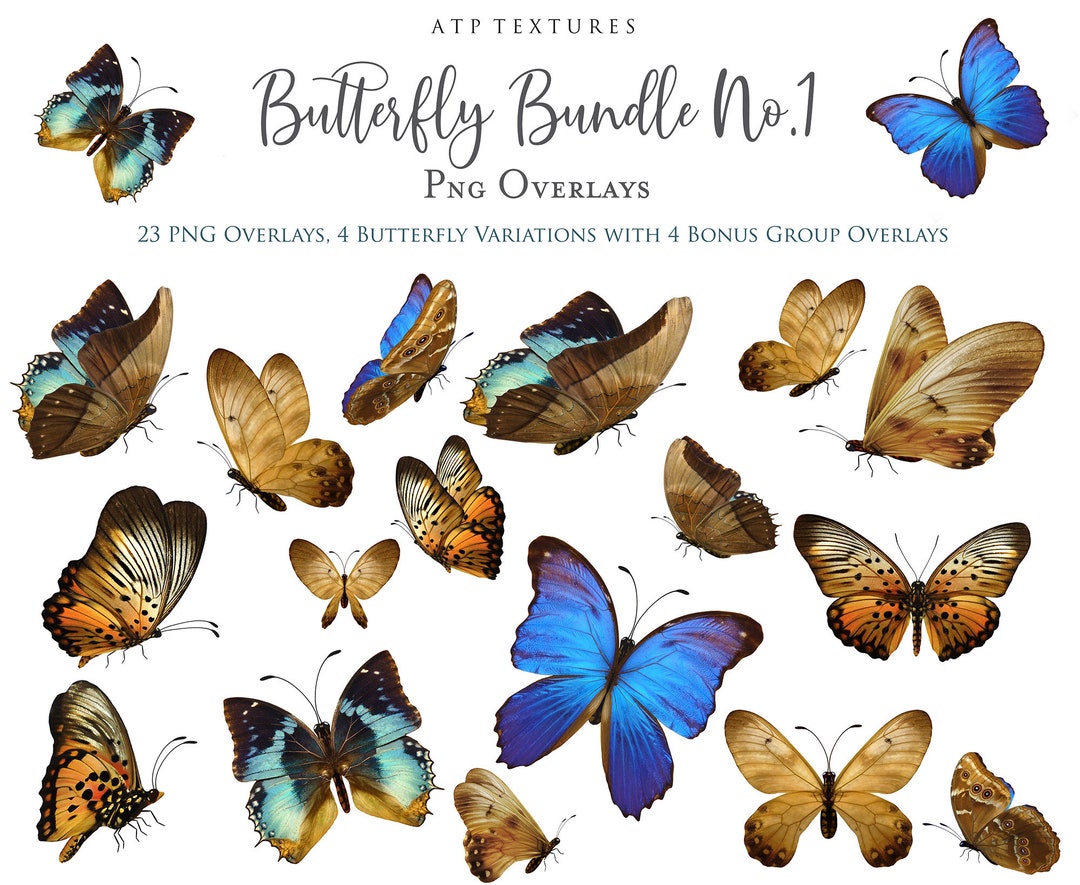 27 Butterfly Overlays Set 1 / Digital Overlay Fine Art - Etsy