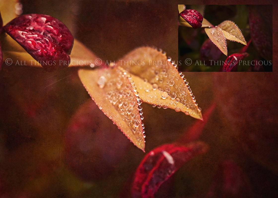 10 Fine Art TEXTURES - SUMMER Set 2 / Overlays, Photography, High Res ...