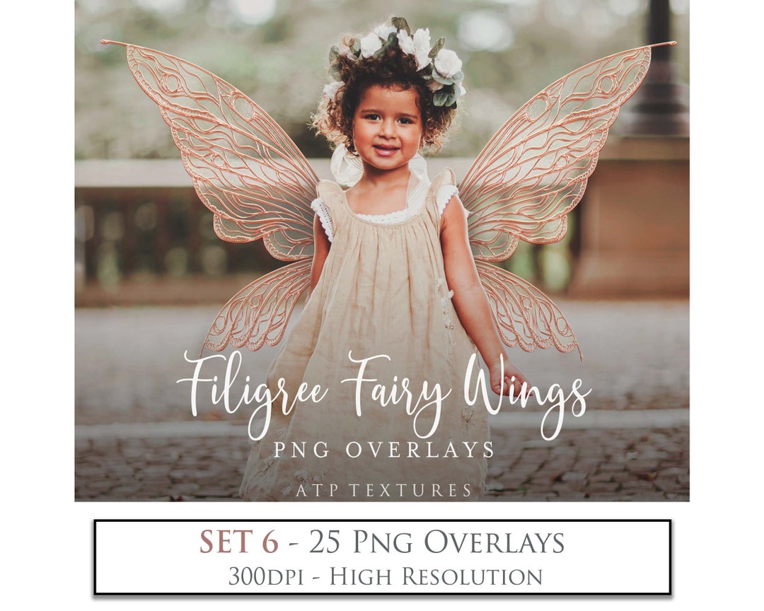 25 Png Overlays FILIGREE FAERY WINGS Set 6 / Photo Overlay - Etsy