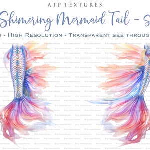Png OVERLAYS Shimmering Mermaid Tail, SET 1 Digital Clipart, Photo ...