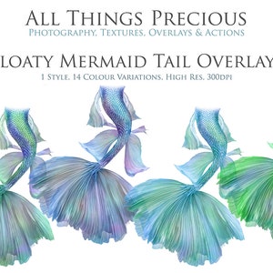 MERMAID Tails, Png Clipart, Photography Overlays, FLOATY Tails Png ...