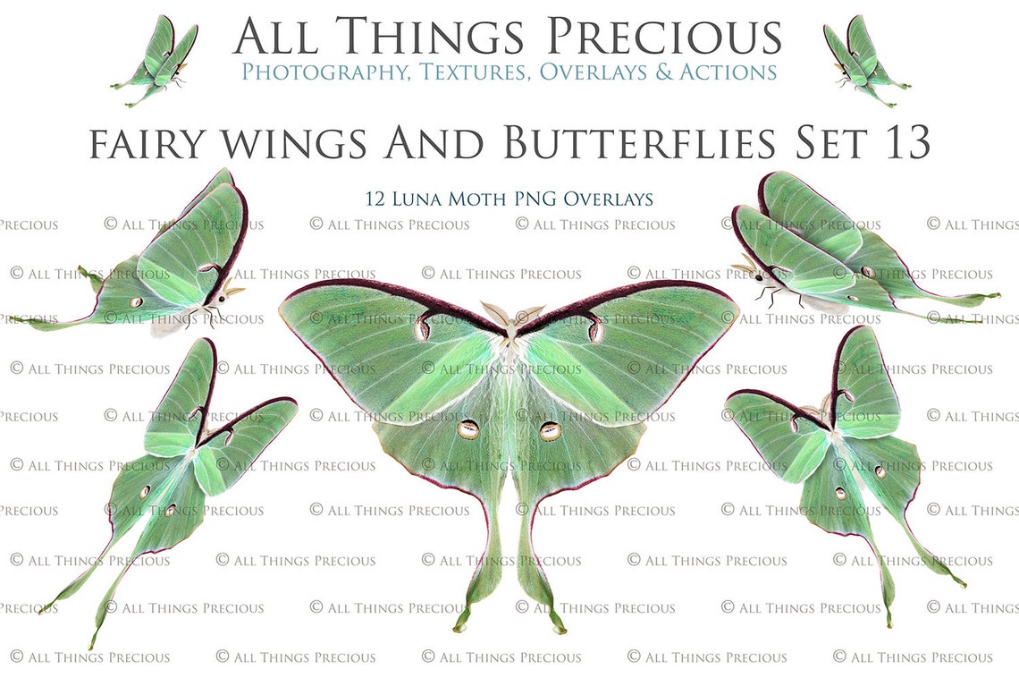 OVERLAYS Png FAIRY WINGS and Butterflies Set 13 / Digital Photography ...