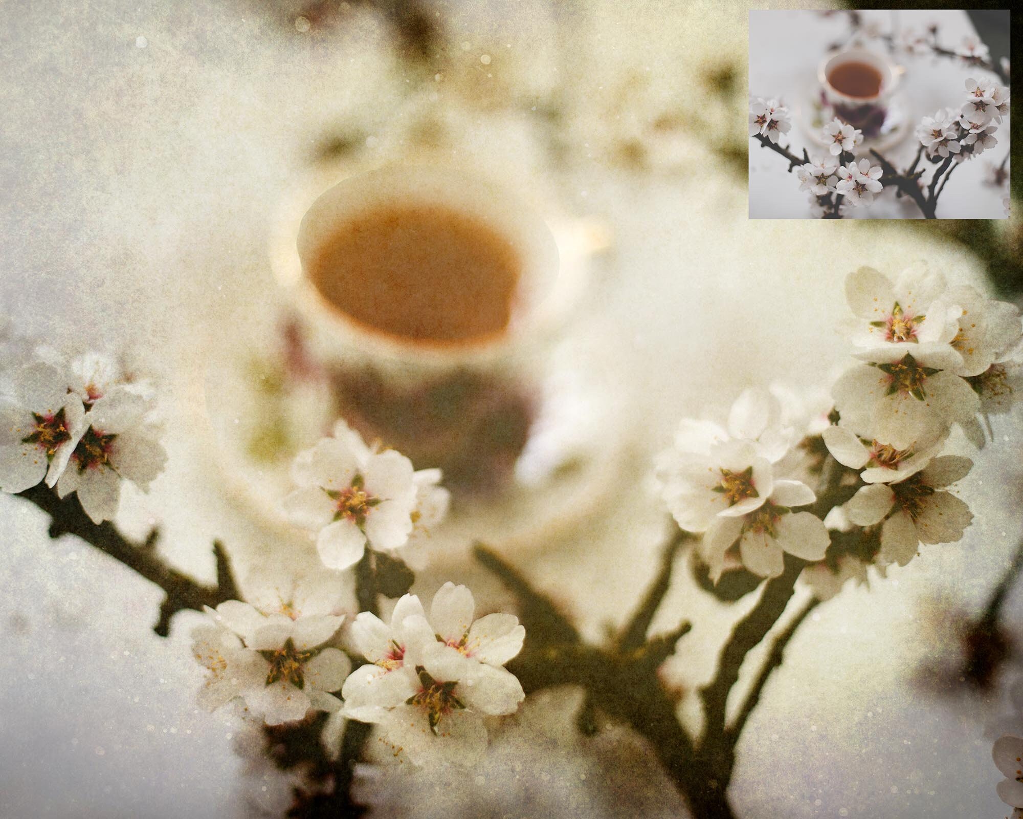 10 FINE ART TEXTURES Earthy Set 15 / Photography Overlays | Etsy