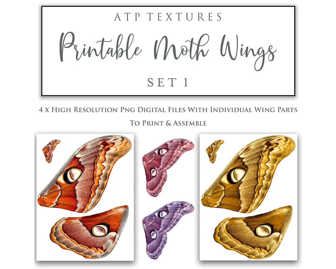 Printable Moth WINGS Set 1 - Clipart Png Print, Fairy Costume ...