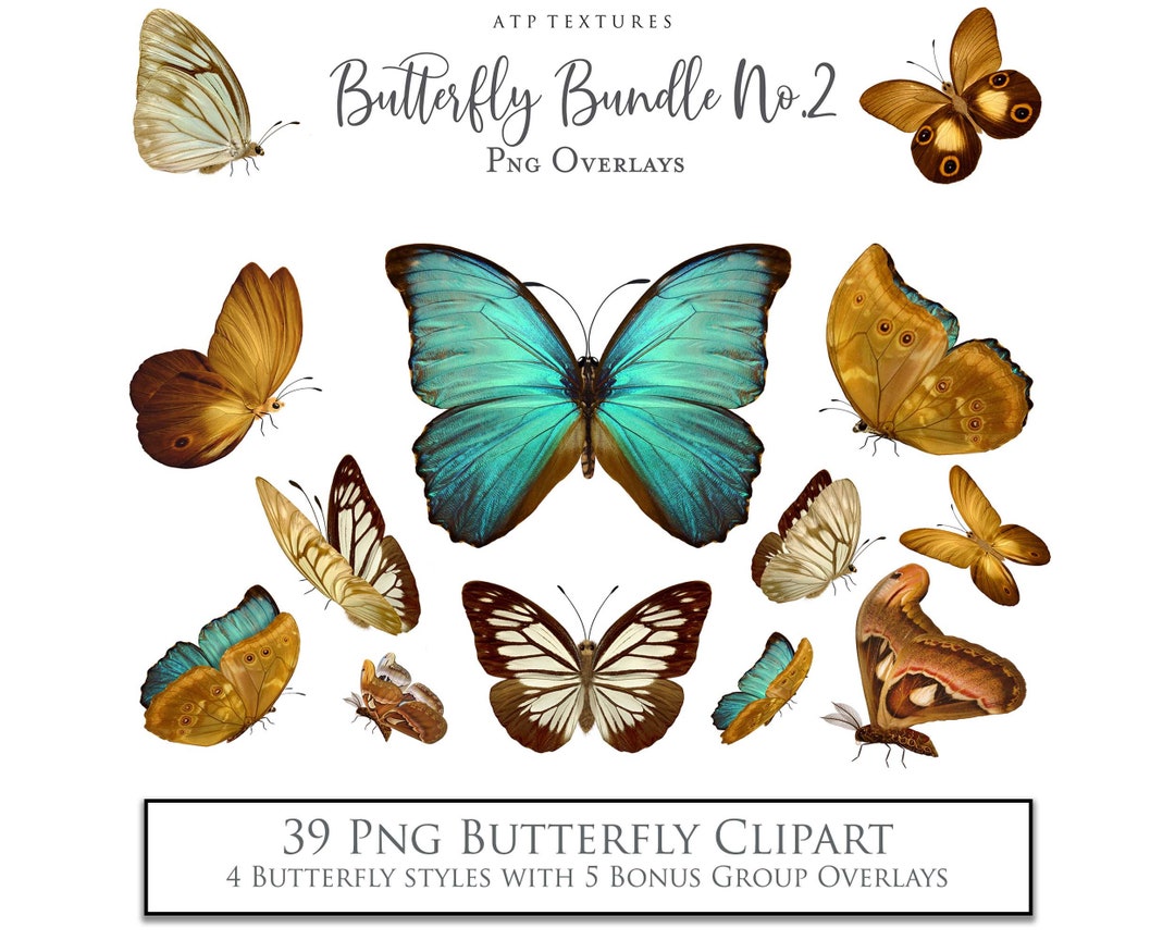 BUTTERFLY OVERLAYS Set 2 - Digital Overlay, Fine Art Photography ...