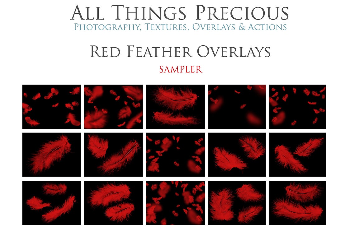 PHOTO OVERLAYS PNG Red Feathers Digital Overlay Feather - Etsy