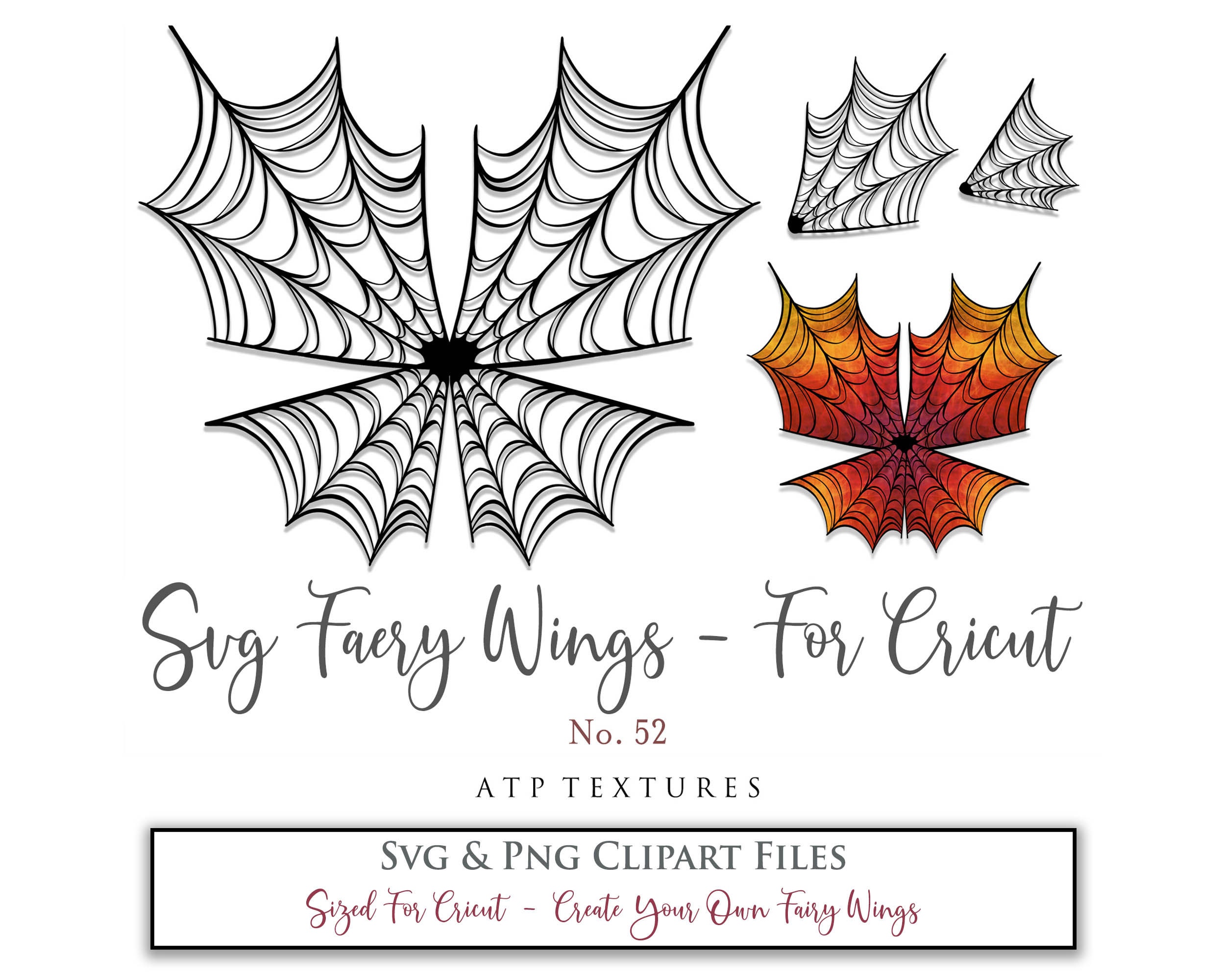 Spider With Wings