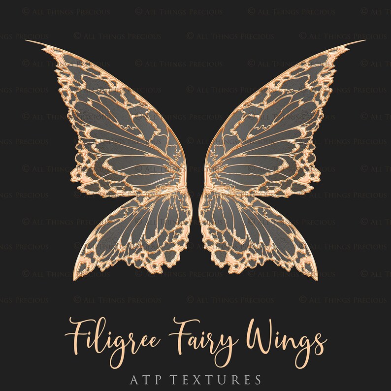 25 Png Overlays FILIGREE FAERY WINGS Set 9 / Photo Overlay - Etsy
