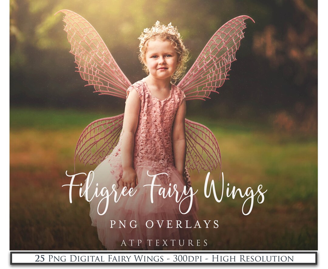 25 Png Overlays FILIGREE FAERY WINGS Set 1 / Photo Overlay - Etsy