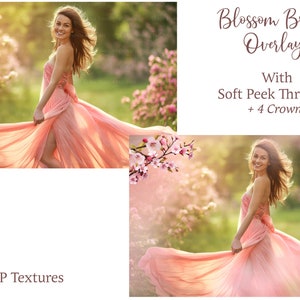 Photo Overlays, PNG Blossom Flower Branches, Crowns and Peek Throughs ...