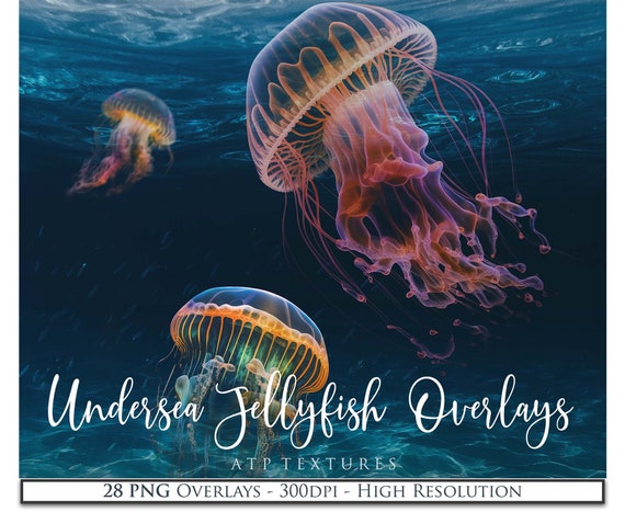 Png OVERLAYS - Under Sea JELLYFISH / Photo Overlay, High Resolution ...