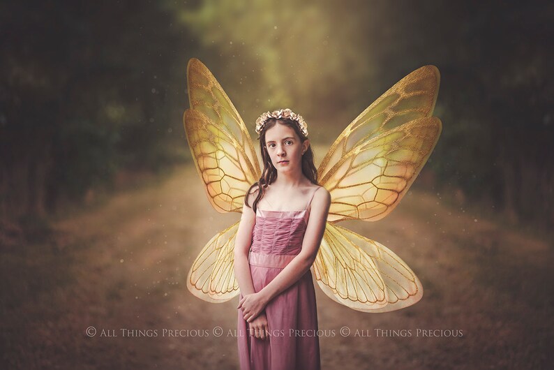 20 Digital Overlays - Transparent Fairy WINGS- Gilded and Coloured Set ...