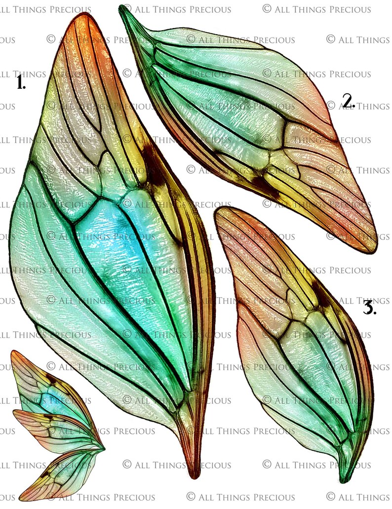 PRINTABLE FAIRY WINGS Set 50 Clipart Png Print Fairy - Etsy