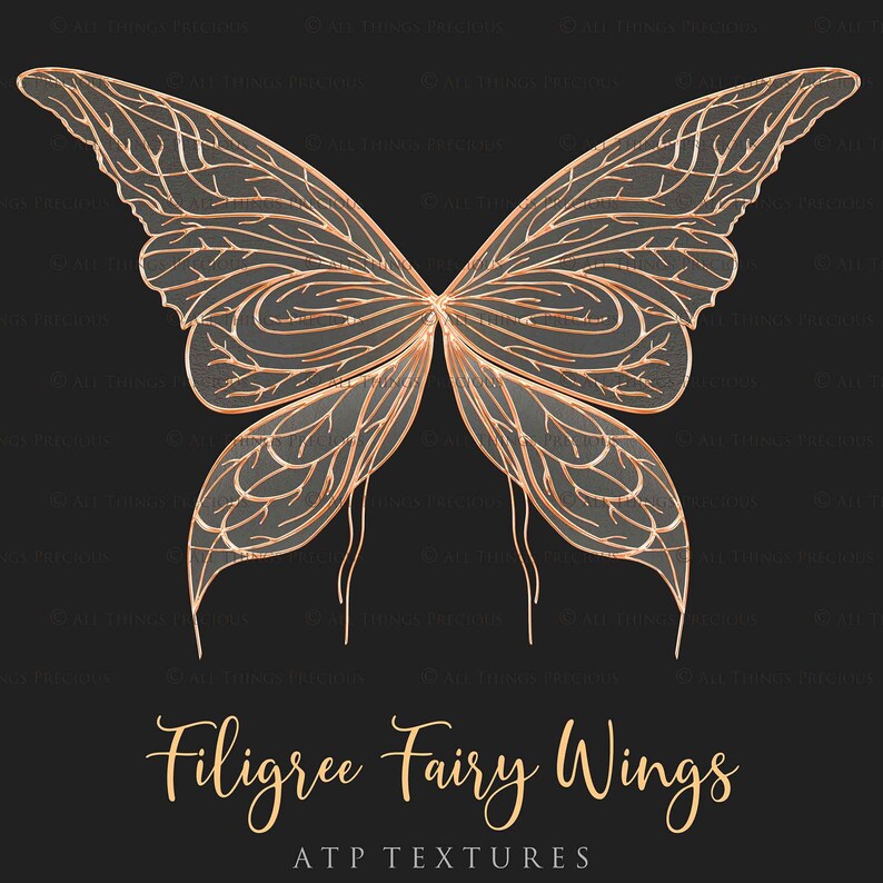 25 Png Overlays FILIGREE FAERY WINGS Set 8 / Photo Overlay - Etsy