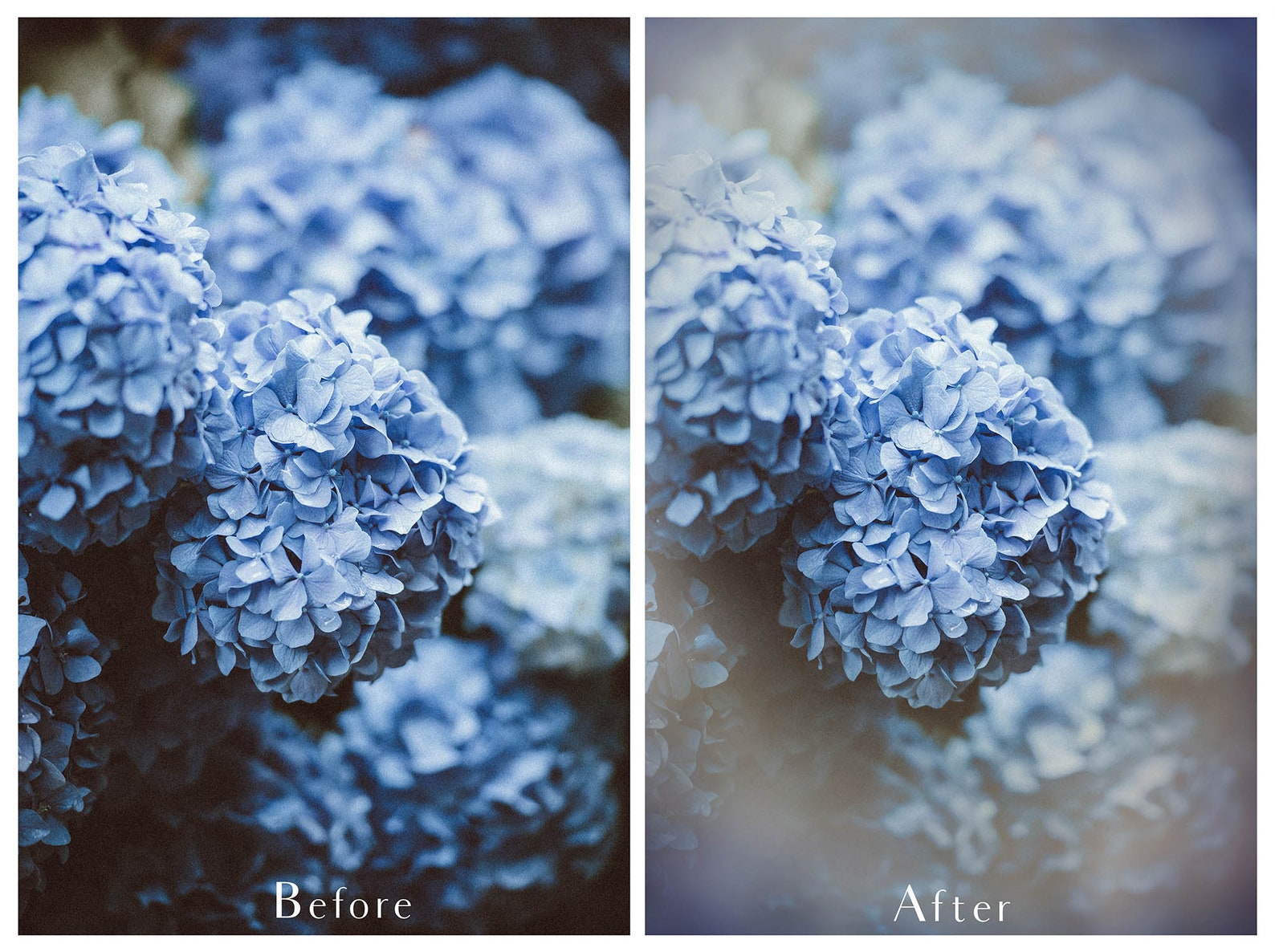 Png OVERLAYS - Tint Vignette No. 1 / Photo Overlay, Texture Overlay ...