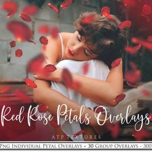 50 OVERLAYS PHOTOSHOP PNG Red Rose Petal Clipart Photo - Etsy