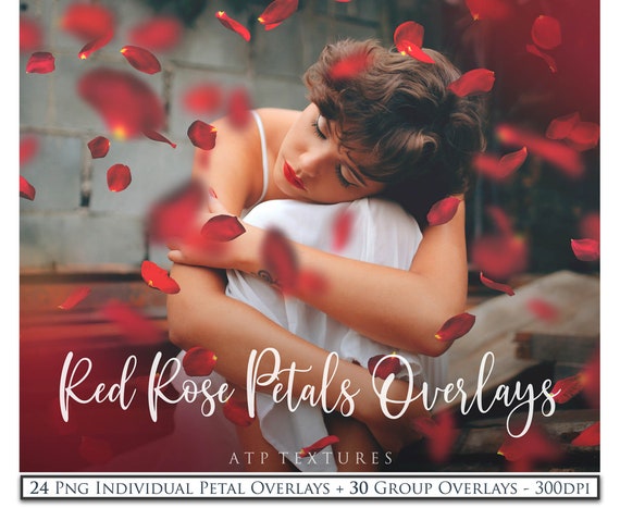 50 OVERLAYS PHOTOSHOP PNG - Red Rose Petal Clipart - Photo Overlay ...