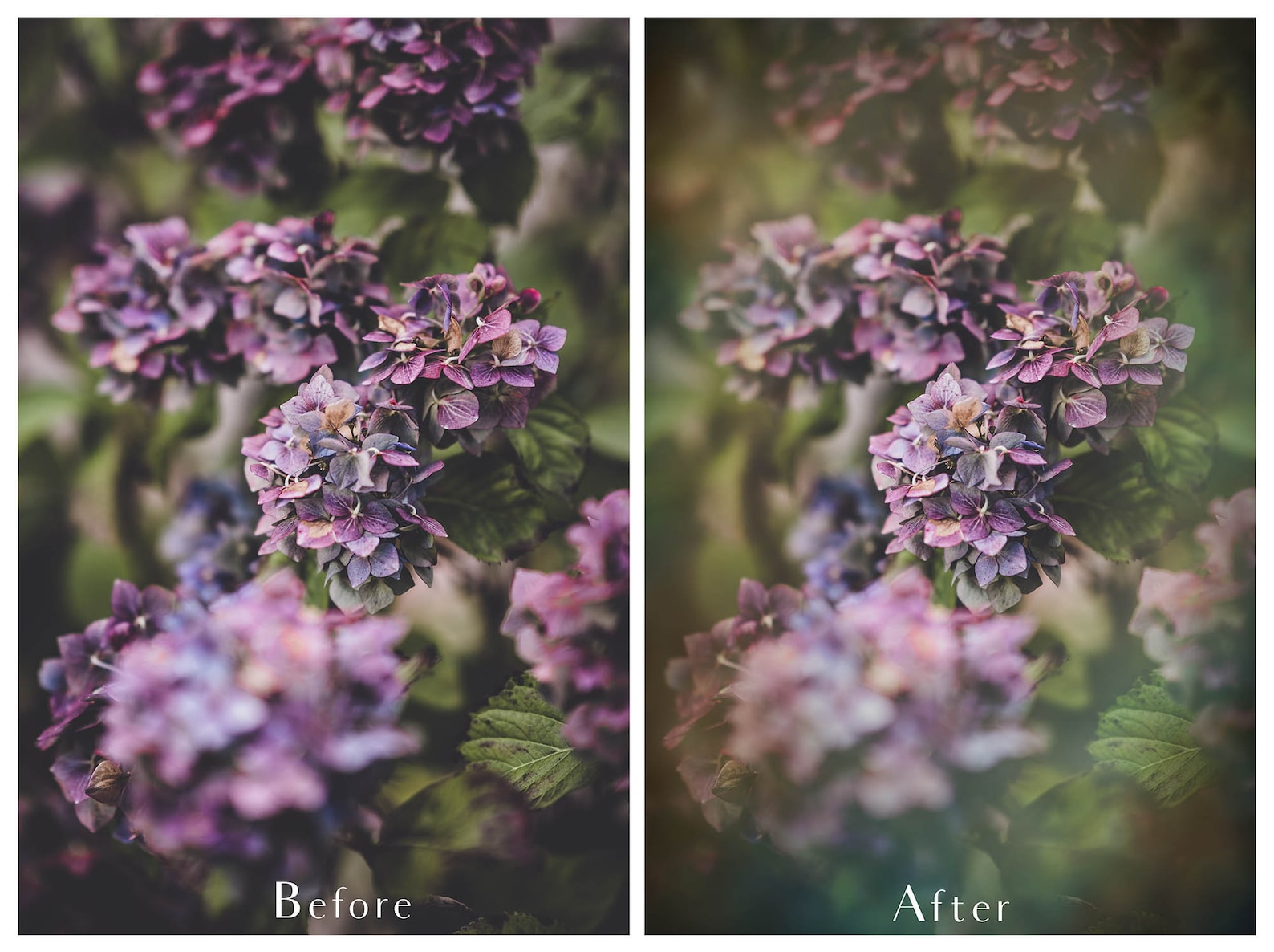 Png OVERLAYS - Tint Vignette No. 1 / Photo Overlay, Texture Overlay ...