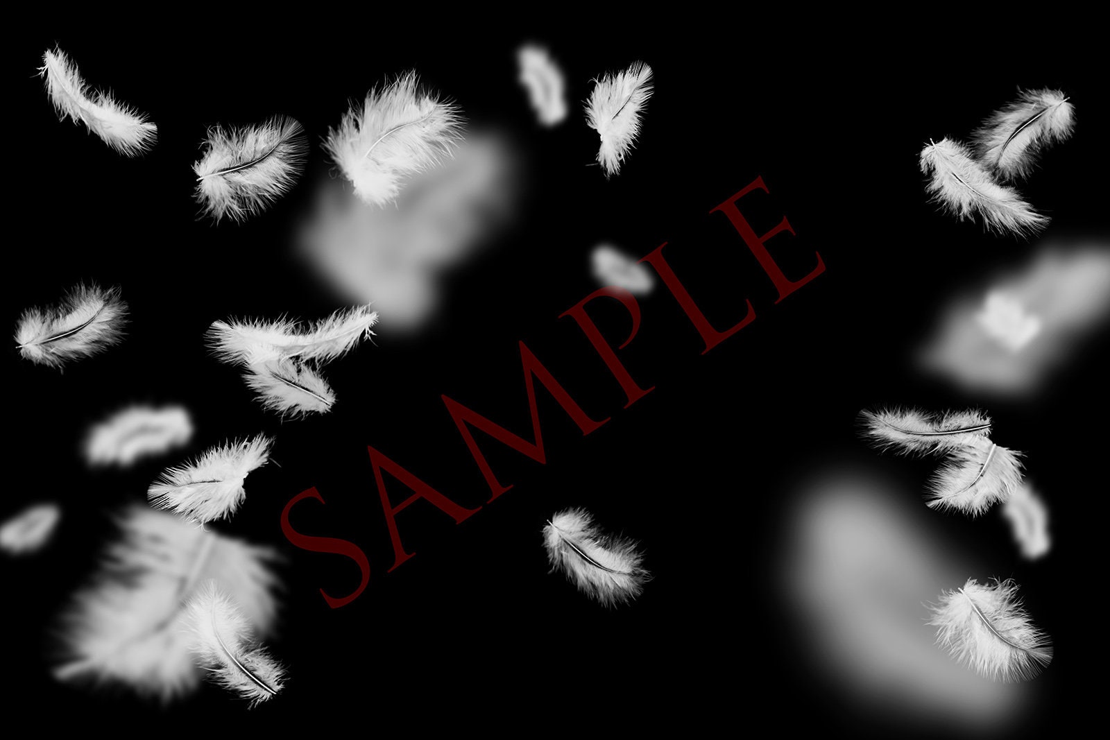 21 Png Overlays FLOATY FEATHERS & Photoshop BRUSHES / - Etsy