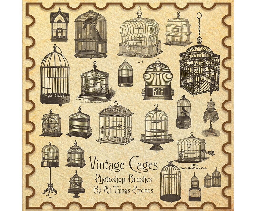 Vintage Bird Cage PHOTOSHOP Brushes Set 1 / Digital Scrapbooking ...