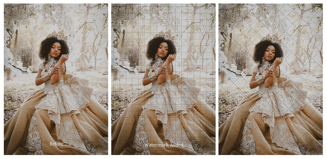 WATERMARK OVERLAYS With Seamless Photoshop PATTERN Digital - Etsy