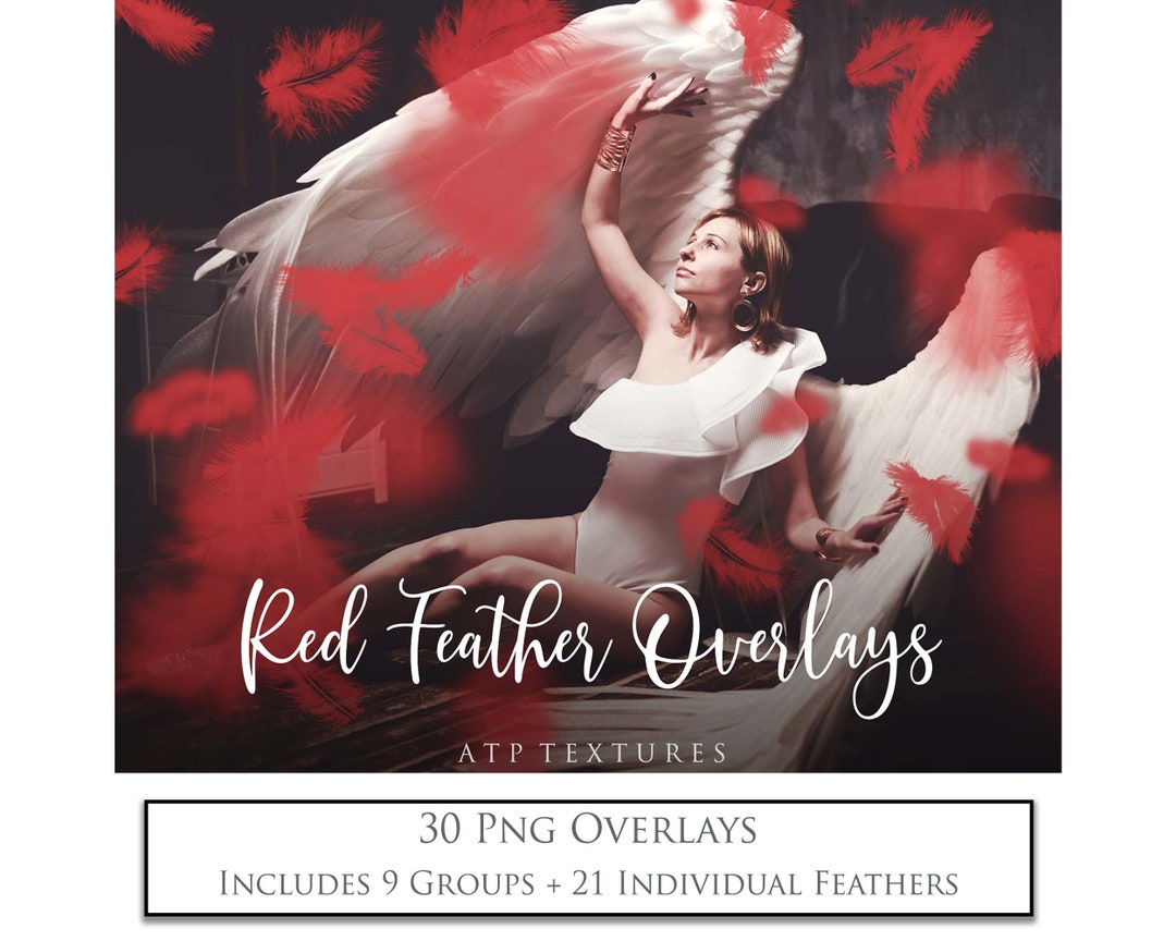 PHOTO OVERLAYS PNG - Red Feathers - Digital Overlay, Feather Clipart ...