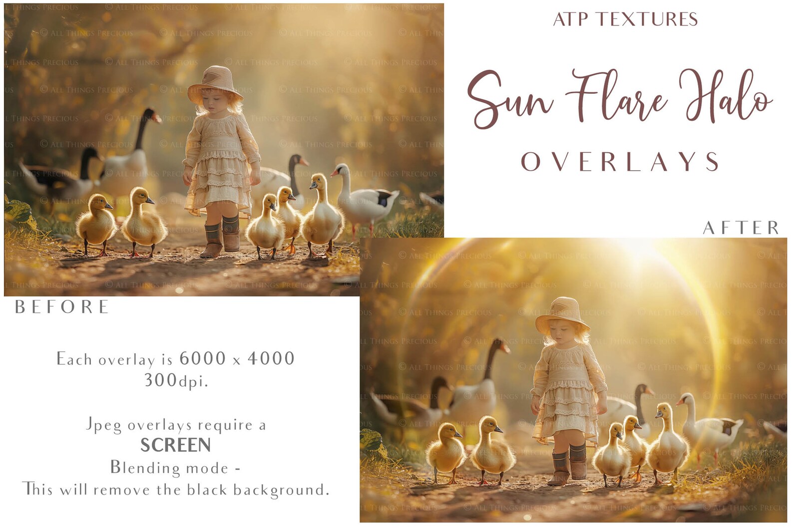 Sun Flare Halo Ring Overlays, Set 2. Jpeg Overlay for Photography ...