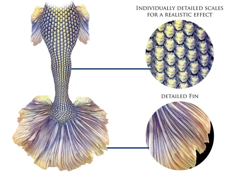 12 Png Overlays MERMAID Clipart FINS Set 9 / Fish Tail | Etsy