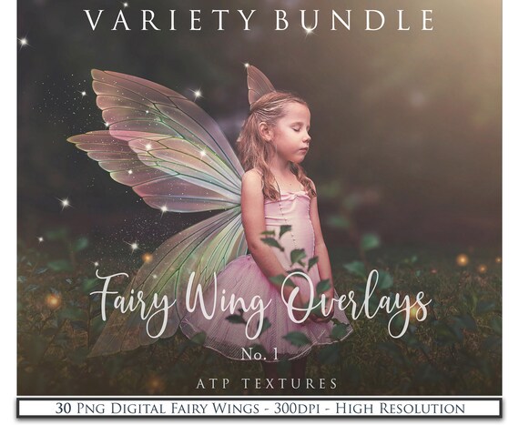 Png OVERLAYS, Variety Pack - 30 FAIRY WINGS No. 1 - Clipart Wing, High ...