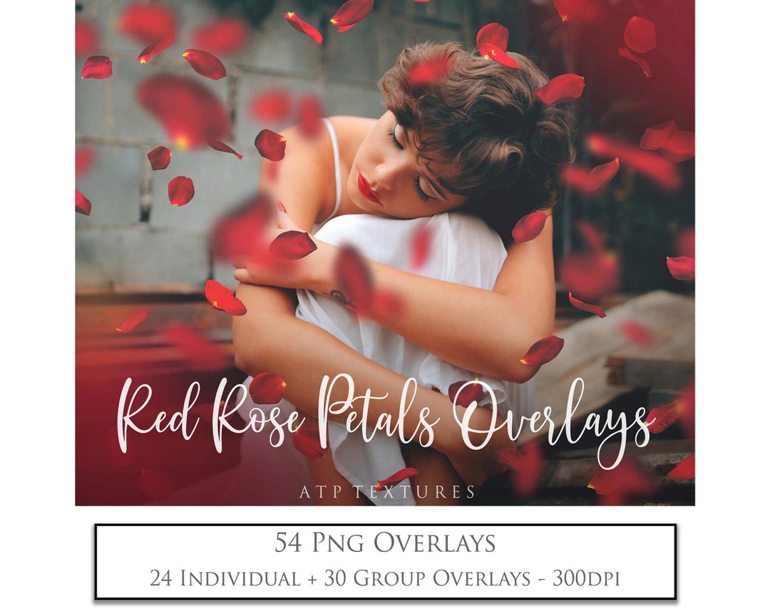 50 OVERLAYS PHOTOSHOP PNG - Red Rose Petal Clipart - Photo Overlay ...