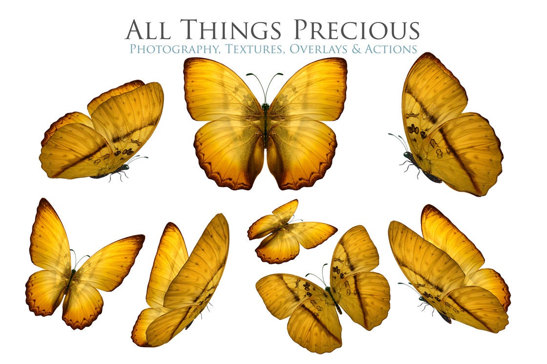 39 BUTTERFLY OVERLAYS Set 3 Digital Overlay Fine Art | Etsy