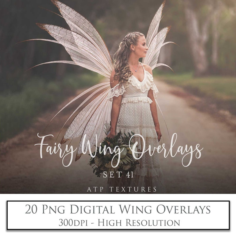 Fairy Wing Realistic - Etsy