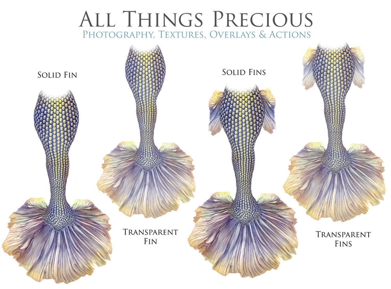 12 Png Overlays MERMAID Clipart FINS Set 9 / Fish Tail | Etsy