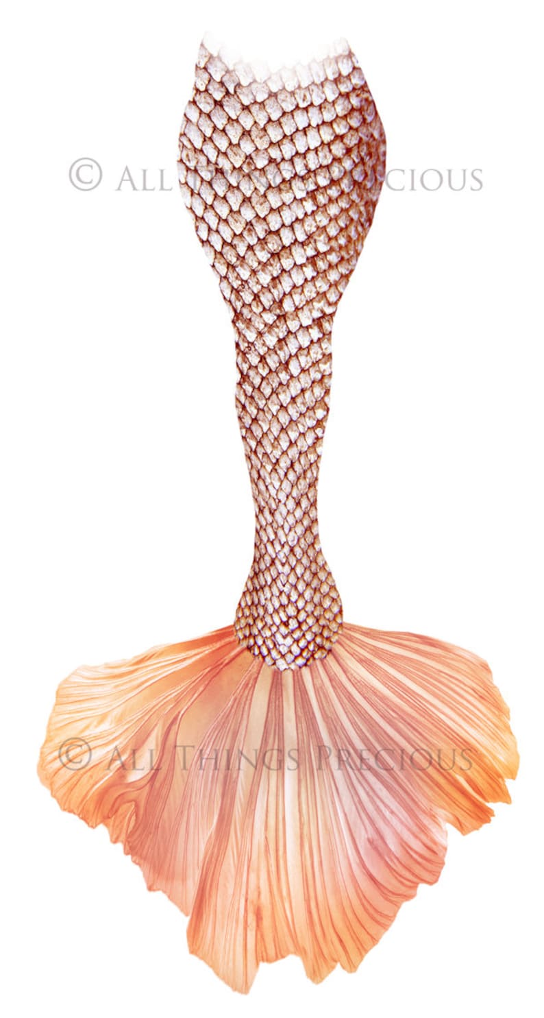 8 MERMAID Tail Clipart Digital Overlays COLOURFUL Photo | Etsy