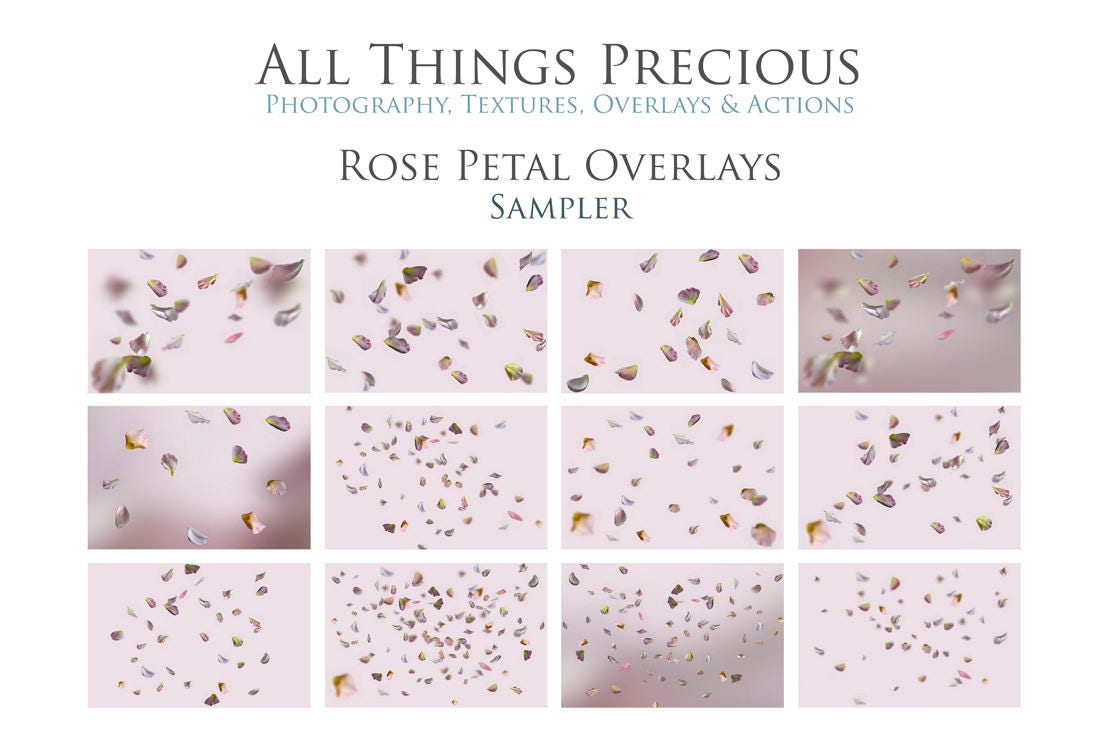 35 Png Overlays, Rose Petal, 6 Colour Changing Photoshop ACTIONS, High ...